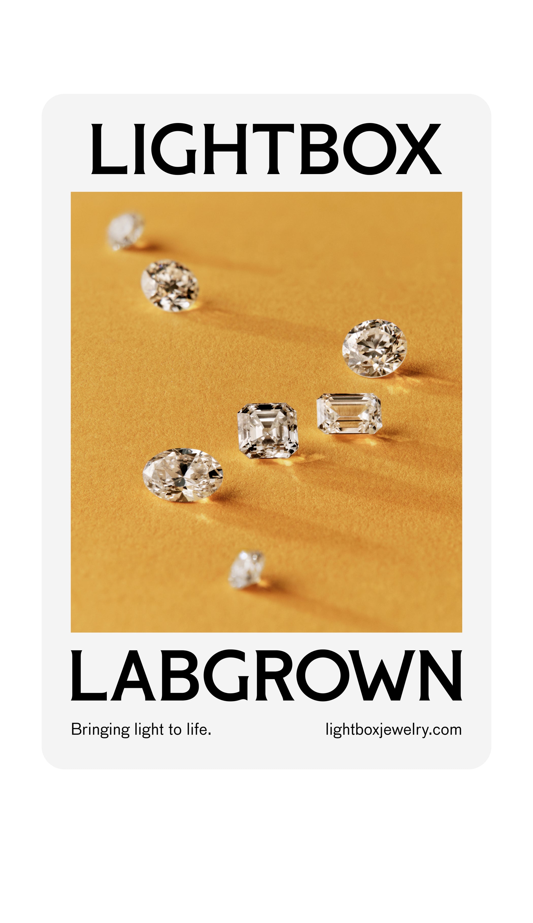 Lightbox Launch Campaign by Decade