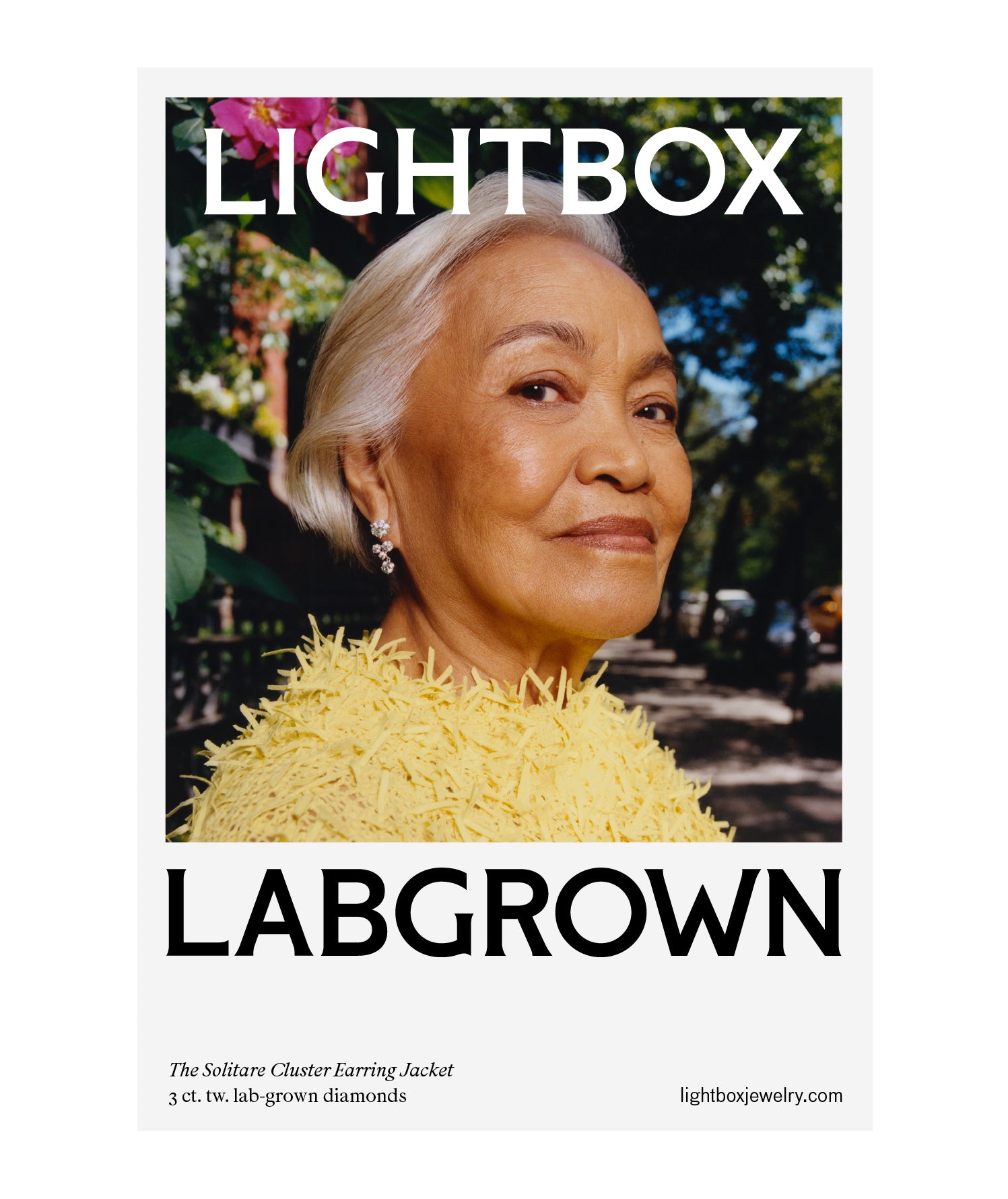 Lightbox Launch Campaign by Decade