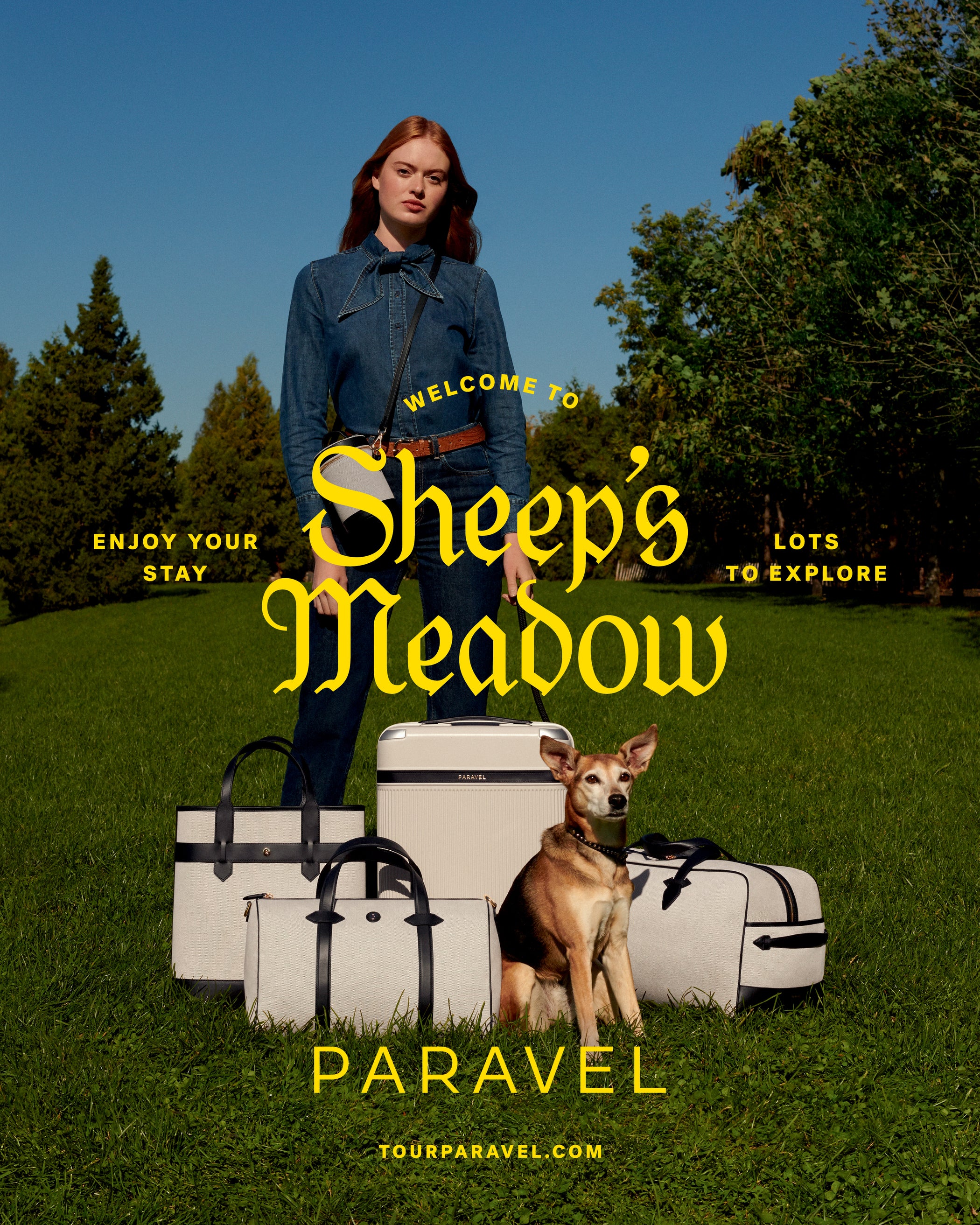 Paravel Campaign by Decade